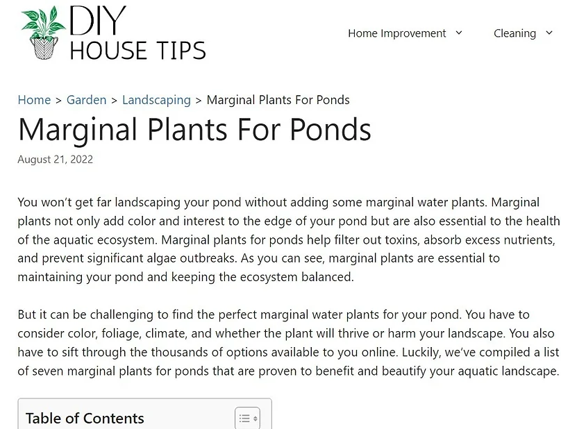 Cassondra Kluse's Portfolio